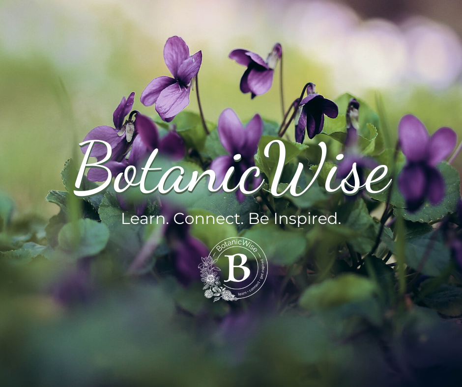 Home • BotanicWise