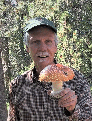 Webinar replay: Got Morels? with Dr. Christopher Hobbs • BotanicWise