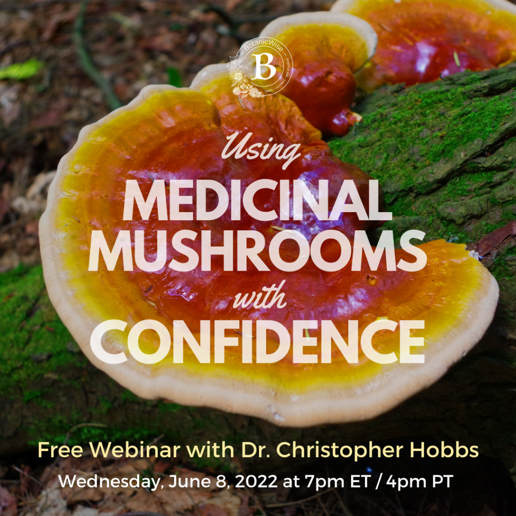 Webinar replay: Using Medicinal Mushrooms with Confidence: Presentation and Q&A with Dr ...