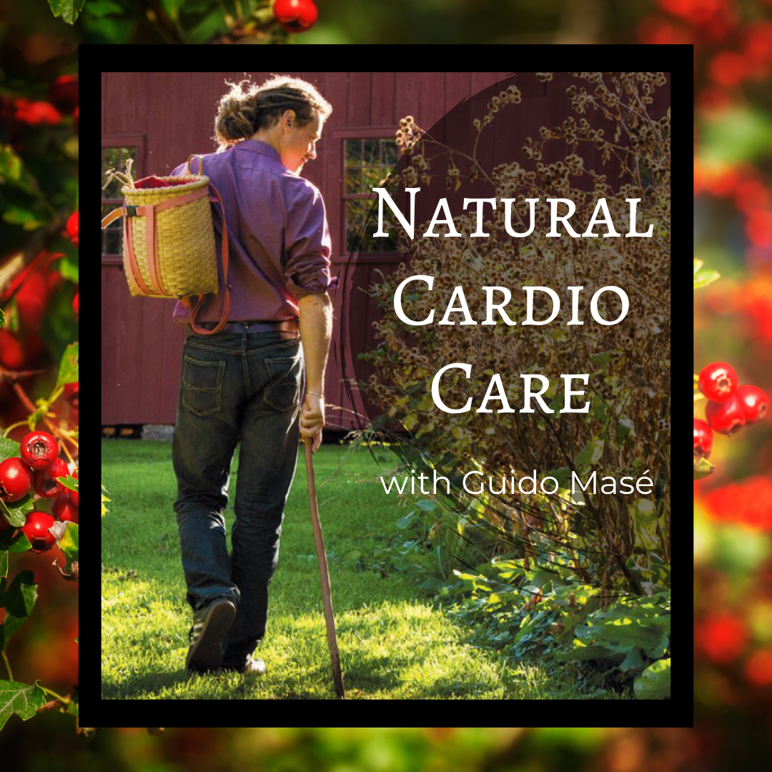 Natural Cardio Care: An Herbalist's Perspective with Guido Masé • BotanicWise