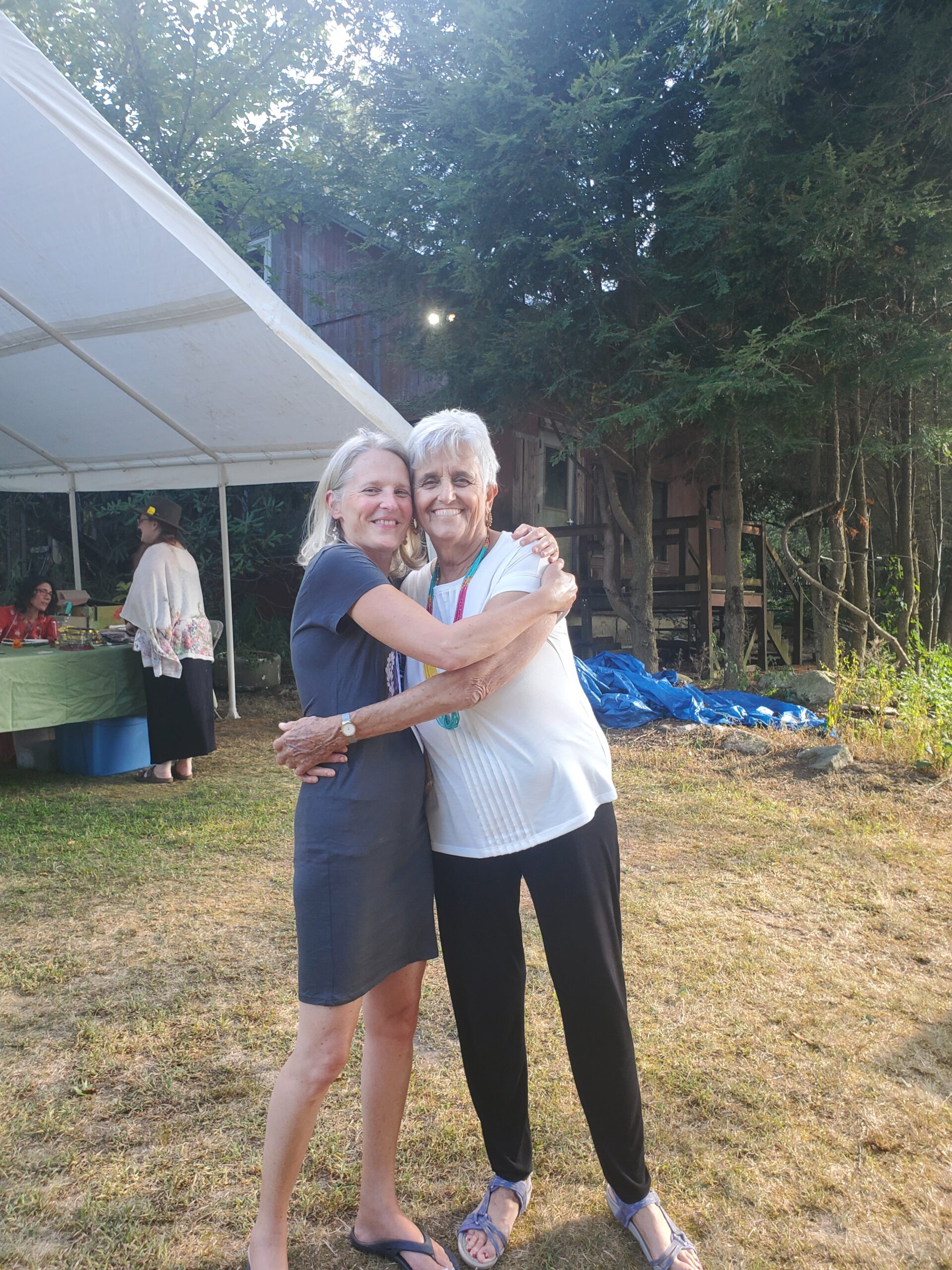 Summer Reflections • BotanicWise