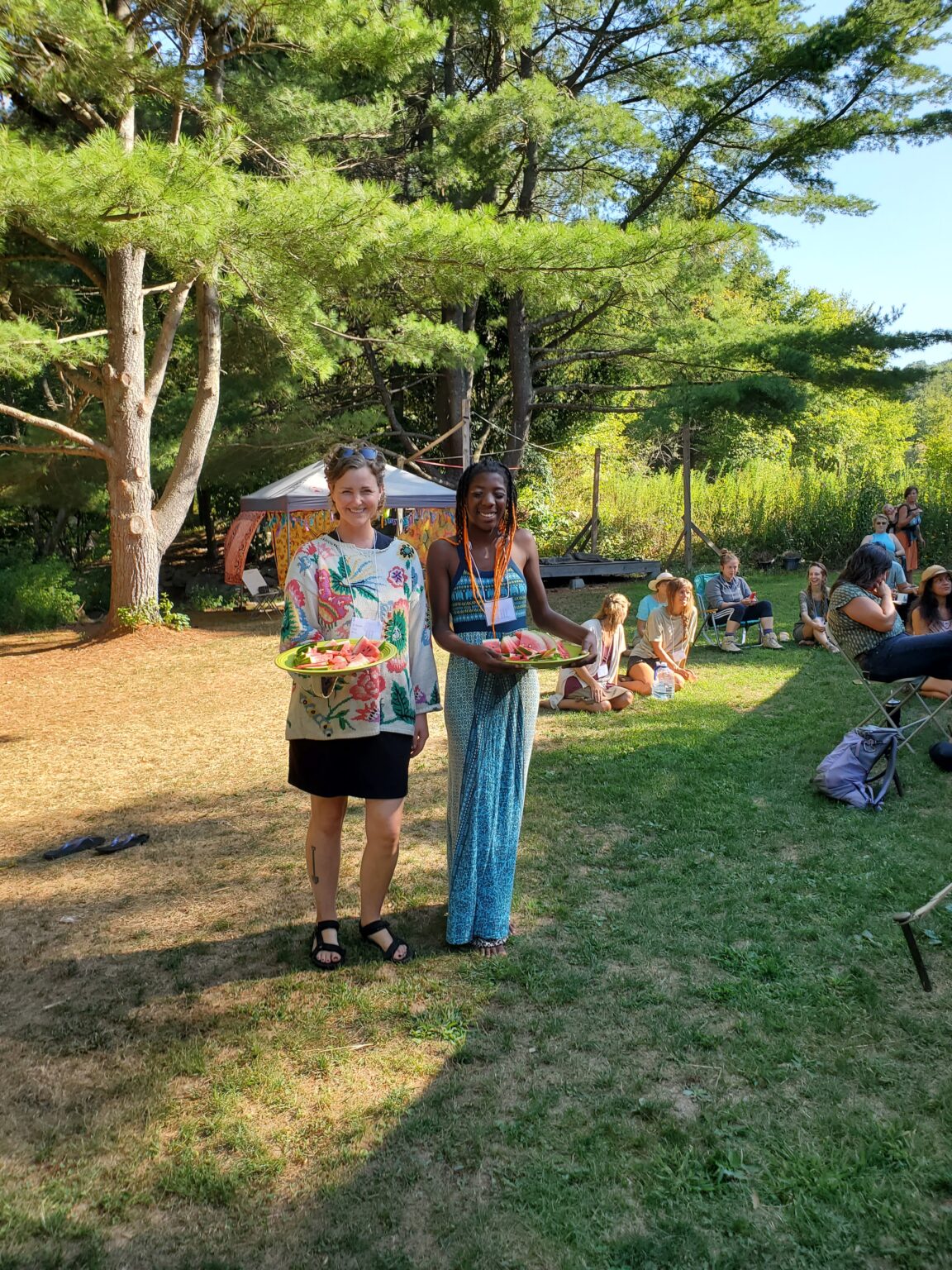 Summer Reflections • BotanicWise