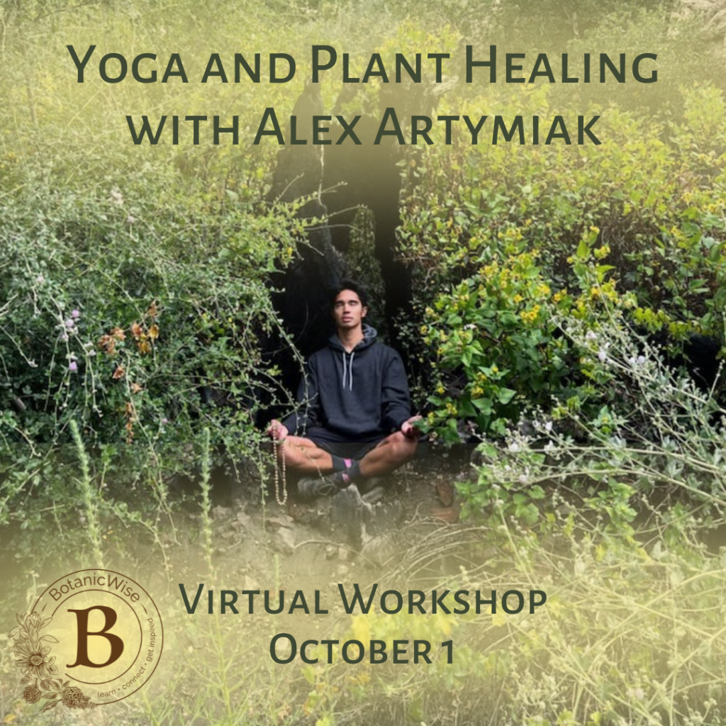 Workshop Replay: Yoga and Plant Healing with Alex Artymiak • BotanicWise