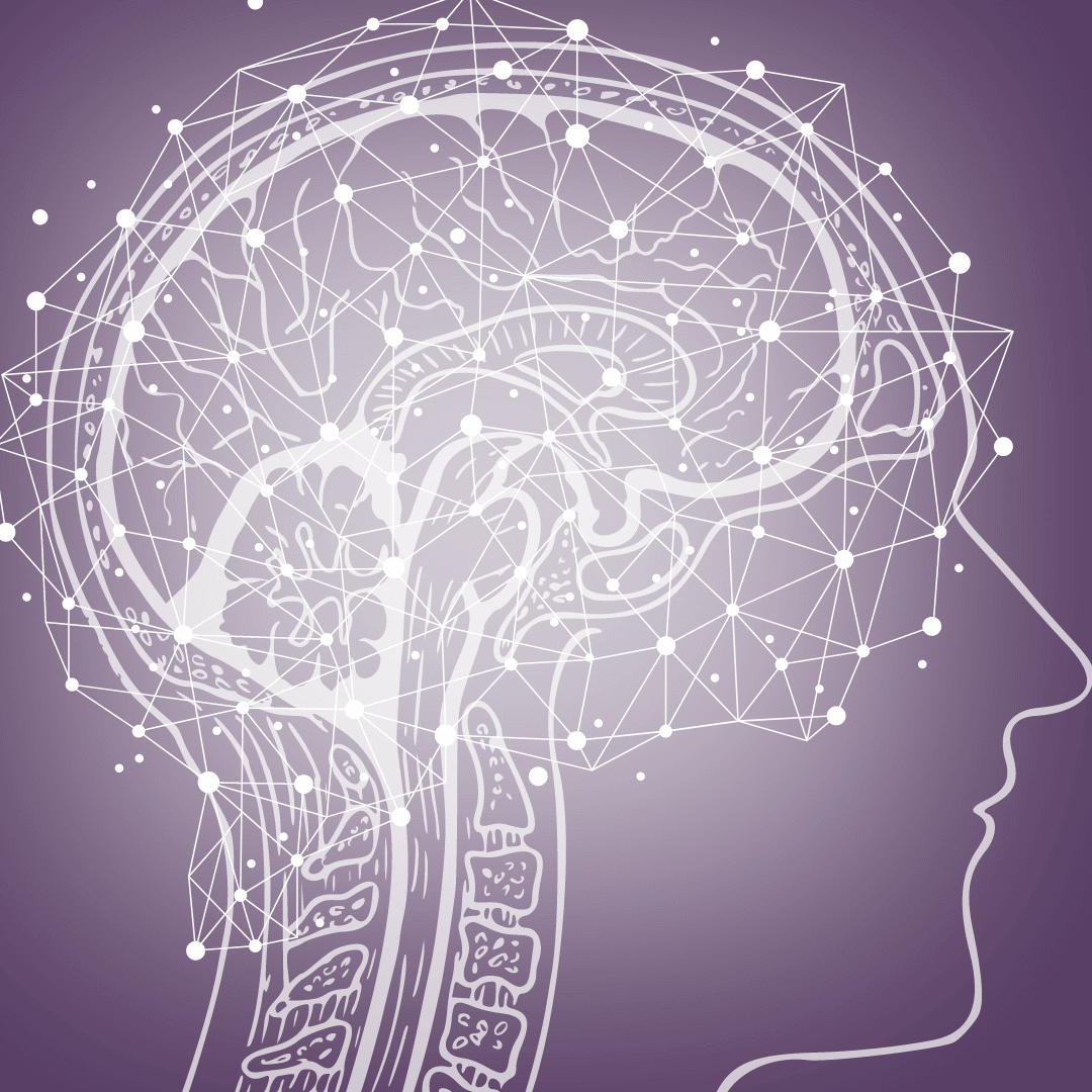 Step Out of Brain Fog: Official Guide • BotanicWise