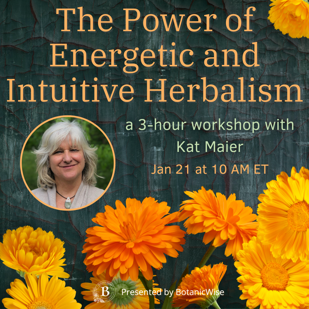Energetic Herbalism: The ancient practice that superpowers plants • BotanicWise