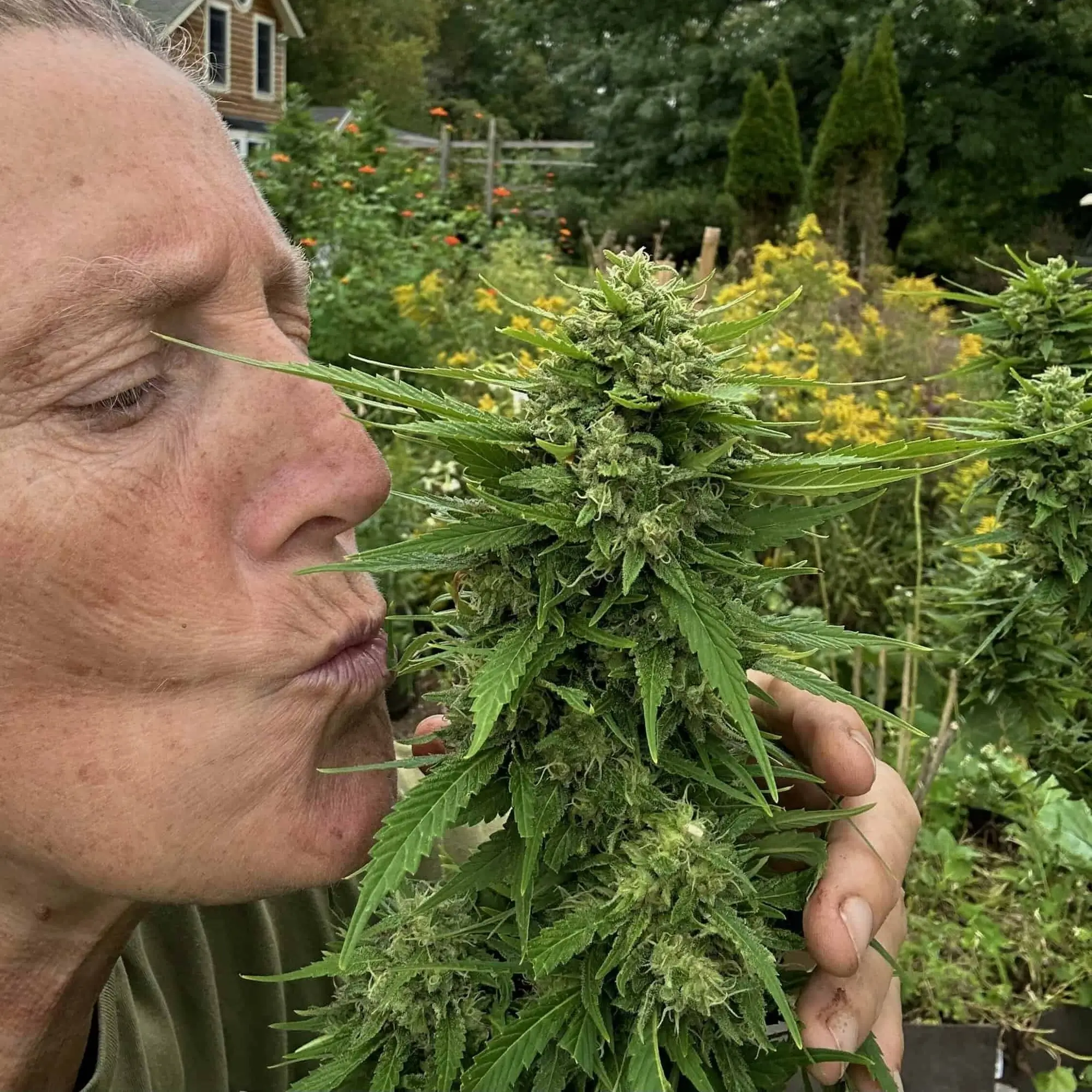 Tammi Sweet • BotanicWise