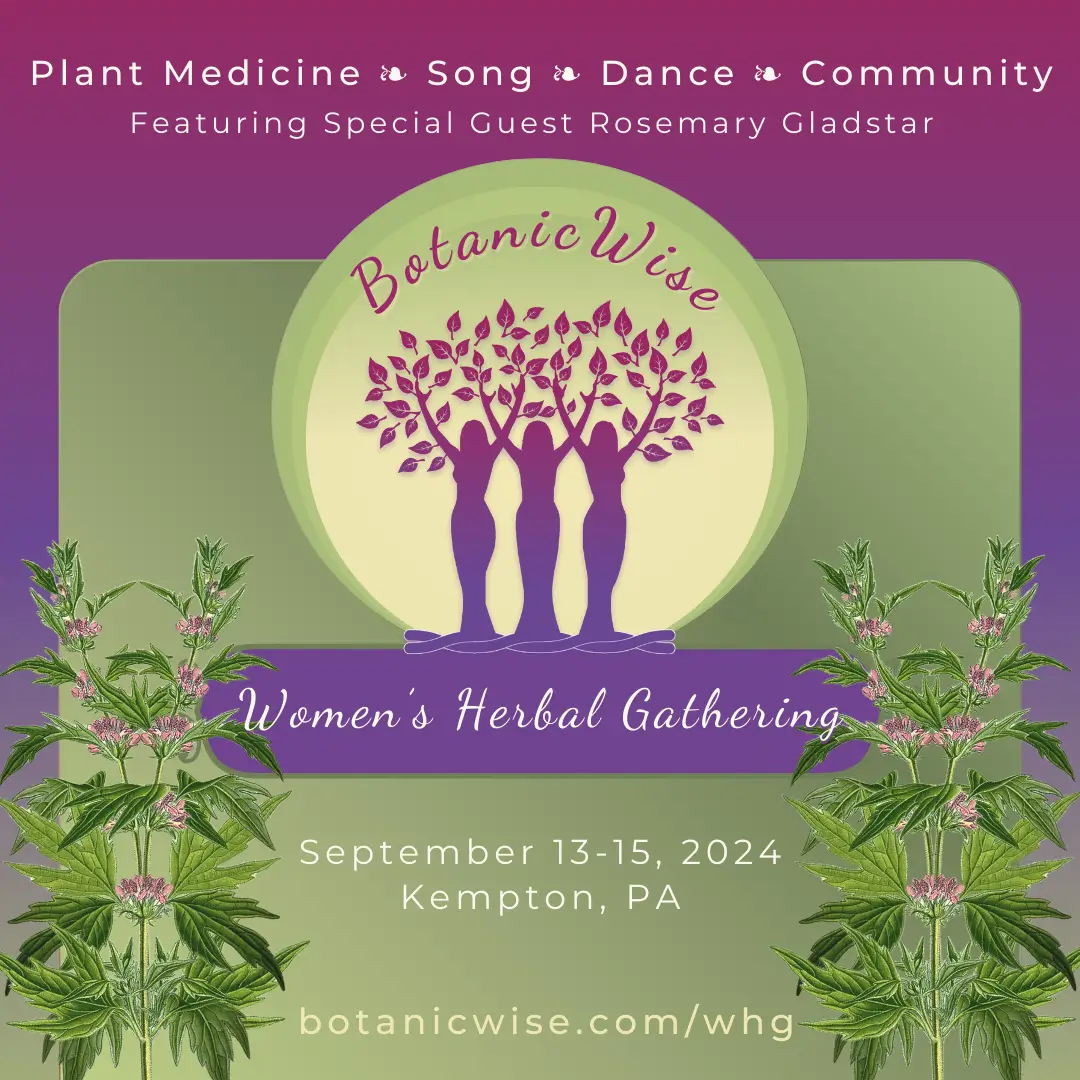 Women's Herbal Gathering • BotanicWise