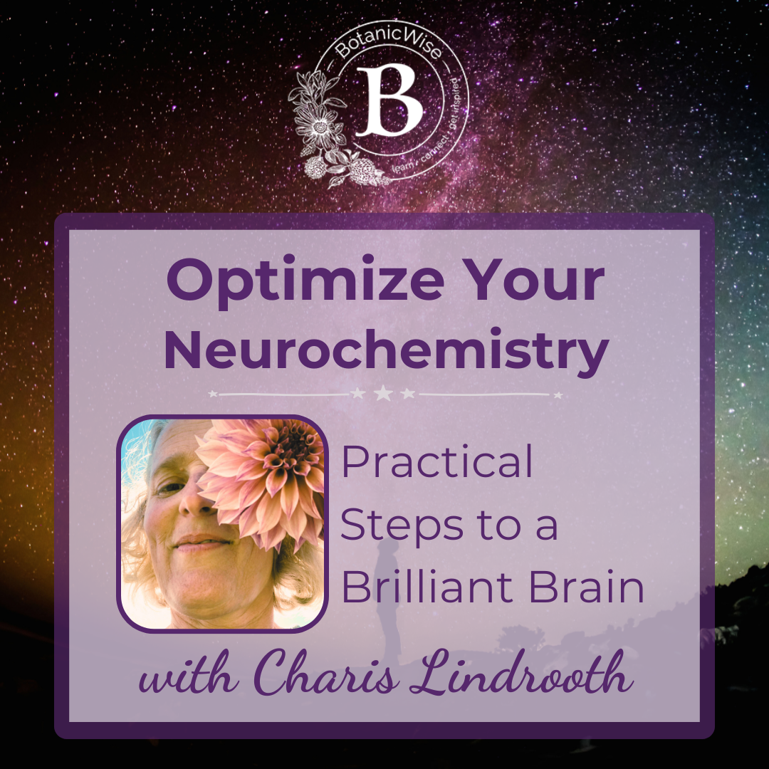 Optimize Your Neurochemistry: Practical Steps to a Brilliant Brain with ...
